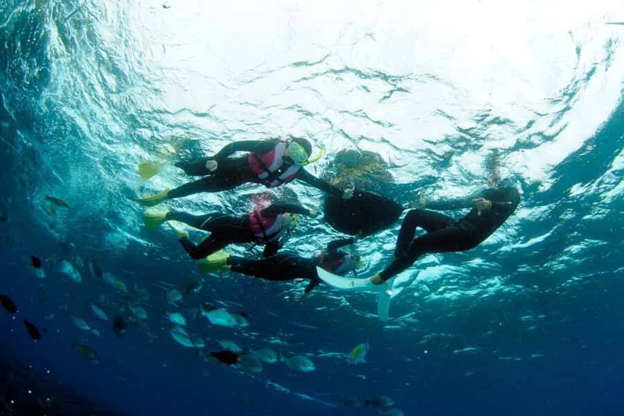 Okinawa Blue Cave Boat Snorkeling in Onna village| 8 Perks - The Itinerary: Step-by-Step