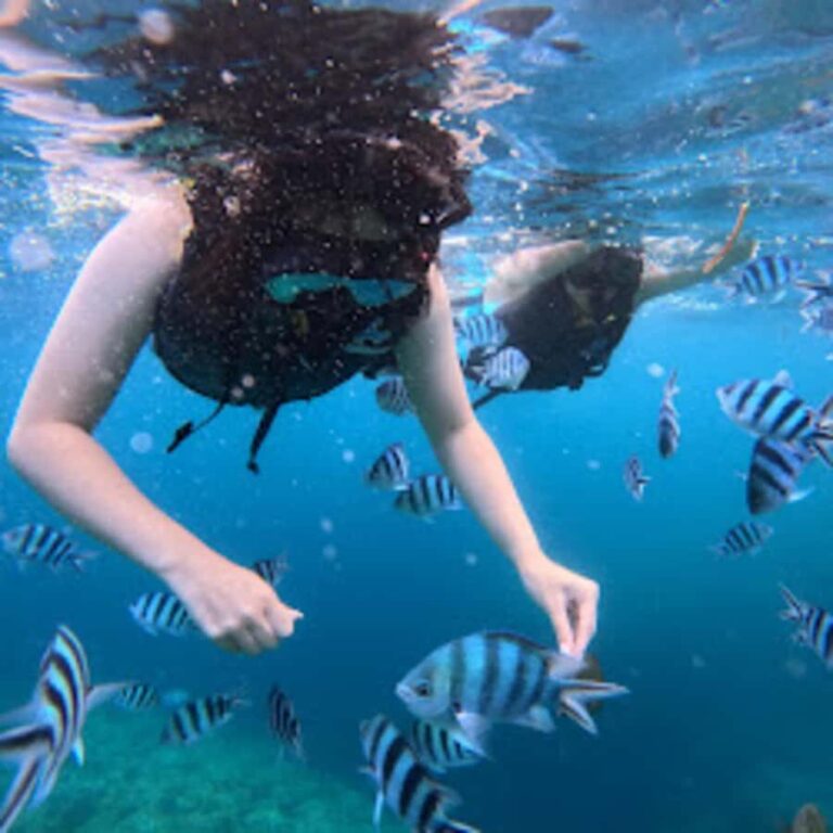 Okinawa: Blue Cave Boat Snorkeling with Free Gopro Photos - The Practical Details