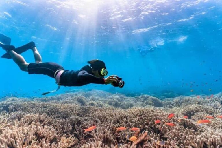 Okinawa: Blue Cave Freediving Tour with GoPro Photos - Key Points