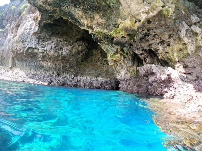 Okinawa: Blue Cave Private Snorkeling Tour with Guide - Why This Tour Offers Great Value