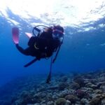 Okinawa: Boat Fun Diving at Minna, Sesoko or Motobu - The Itinerary Breakdown