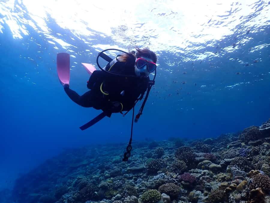 Okinawa: Boat Fun Diving at Minna, Sesoko or Motobu - The Itinerary Breakdown