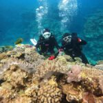 Okinawa: Discover SCUBA Diving at Minna, Sesoko or Motobu - Who Should Consider This Experience?