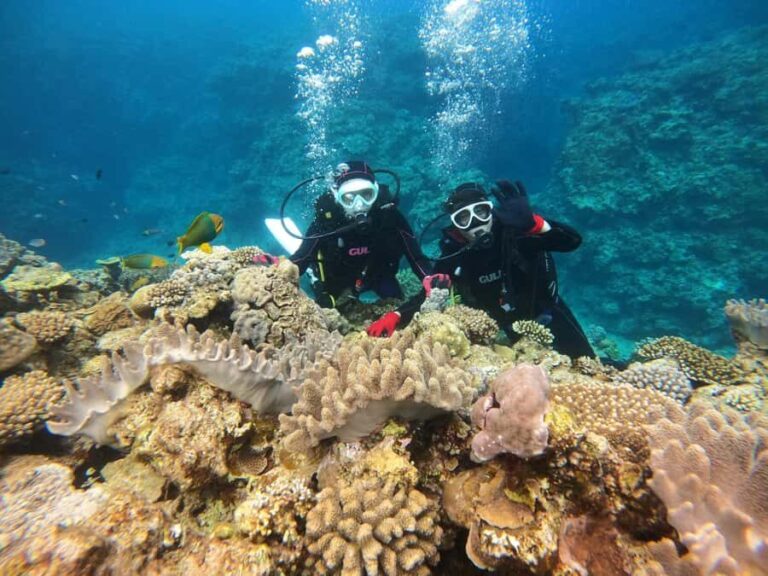 Okinawa: Discover SCUBA Diving at Minna, Sesoko or Motobu - Who Should Consider This Experience?