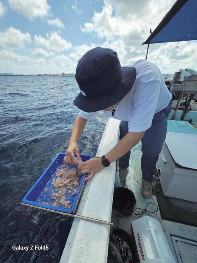 Okinawa: Half-Day Fishing Trip with Local Fisherman - The Value and Why It Matters