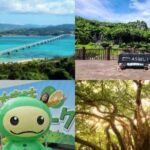 Okinawa Hip-hop Bus C Course Tour to Northern Island - Final Thoughts