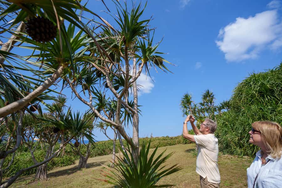 Okinawa Ishigaki Island Private Tour - Who Should Consider This Tour?