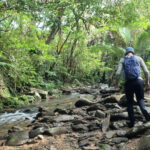 Okinawa: Jungle Trails & Waterfalls Native-English Private - Why Choose This Experience?