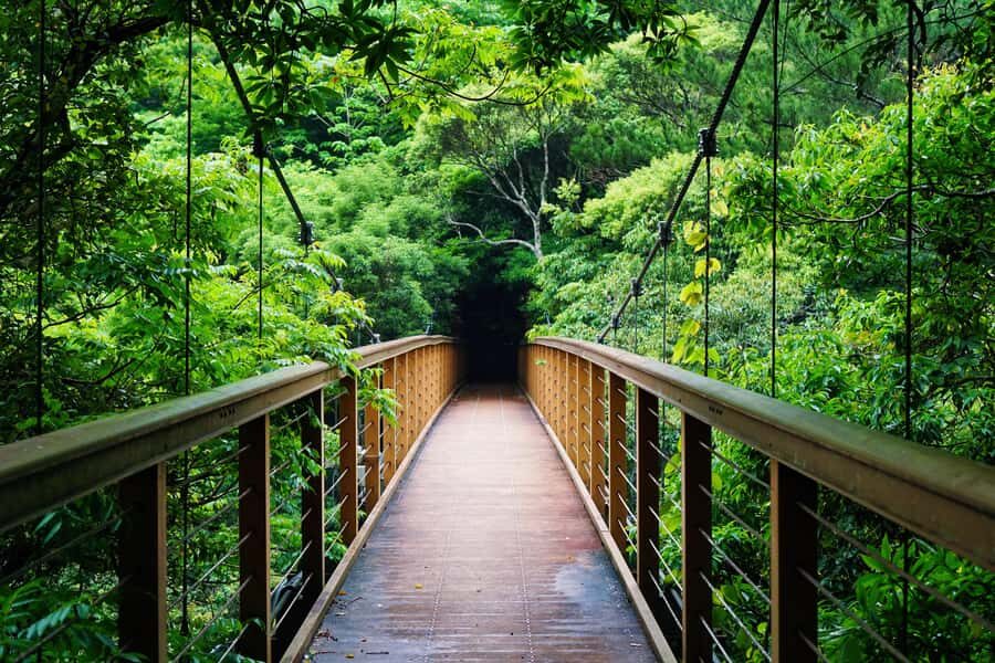 Okinawa: Private Photo & Sightseeing Adventure with a Local - In-Depth Look at the Experience