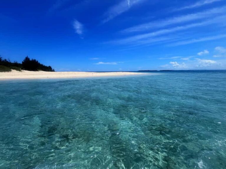 Okinawa: Private Snorkeling Tour - Who Will Love This Tour?