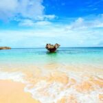 Okinawa: Private Tour with Driver and Guide - A Closer Look at the Itinerary