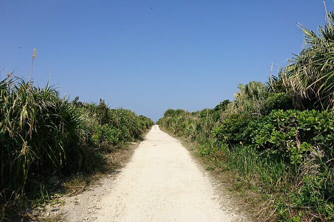 Okinawa: Sacred Island Tour to Kudakas Ryukyuan Holy Sites - Who Would Love This Tour?