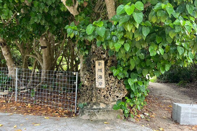 Okinawa Snorkeling Tour Experience - Who Should Consider This Experience