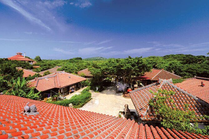 Okinawa World Admission Ticket - Snake Museum and Habu Museum: A Curiosity for the Bold