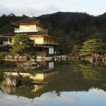 Okutama Forest Therapy Shinrin-yoku Tour with Lunch Options - The Sum Up