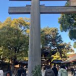 Old and new: Meiji Shrine, Takeshita Street & Shibuya Tour - Practical Details & What to Expect