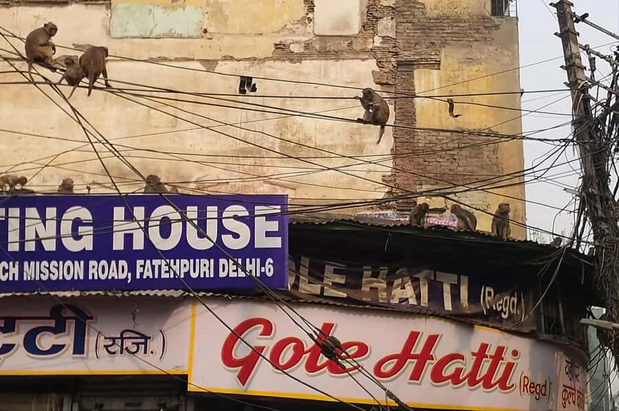 Old Delhi Tour With Rickshaw Ride and Street Food - Who Should Consider This Tour?