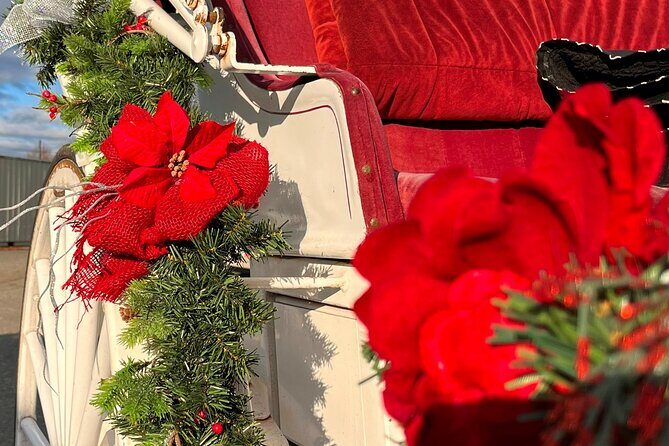 Old fashioned Horse Drawn Caroling Tour - The Value of a Short, Festive Ride