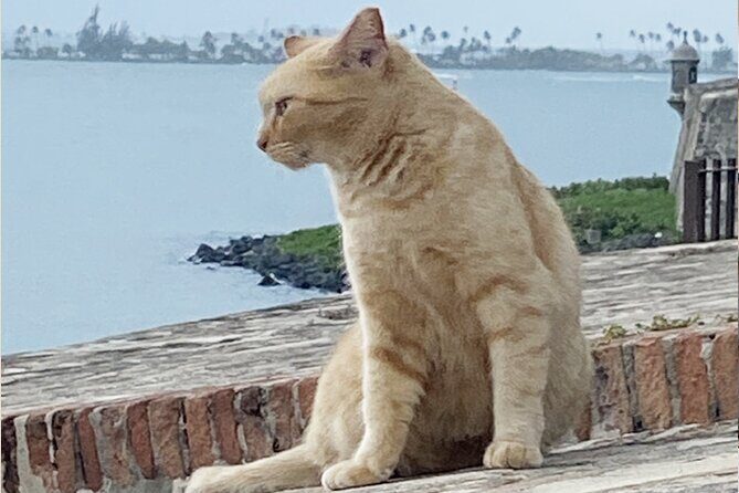 Old San Juan City Walking Tour - What We Loved About the Tour