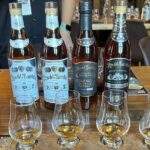 Old San Juan Private Tour with Barrilito Rum Experience - A Deeper Look at the Tour Experience