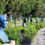 Old Souls and Hidden Stories: Discovering Taoyuans Charm - Practical Details and Why They Matter