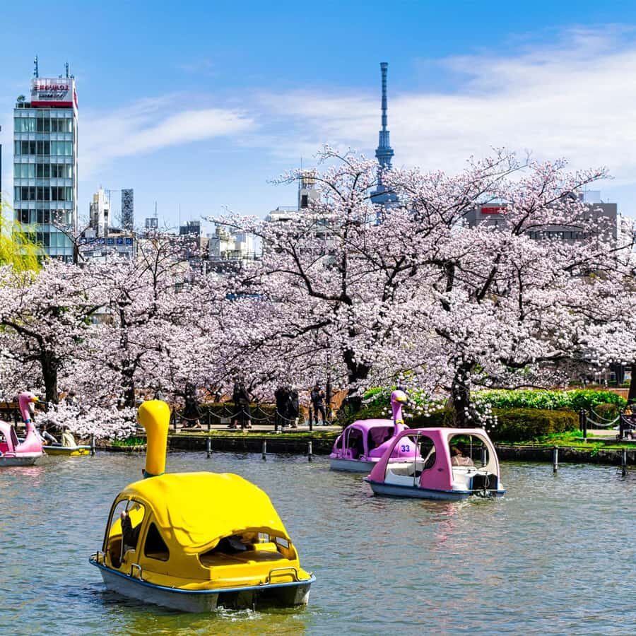 Old Tokyo Walk: Uenos Parks, Temples & Local Neighborhoods - Who Will Love This Tour?