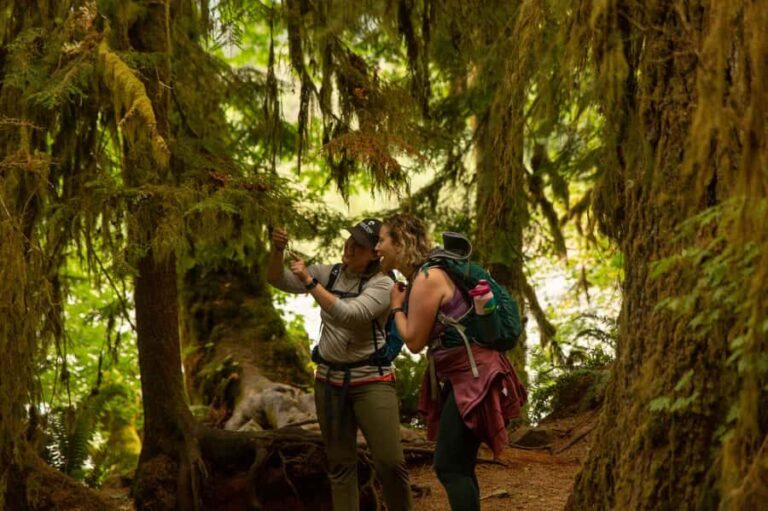 Olympic Full Day Private Tour & Hike - The Itinerary in Detail