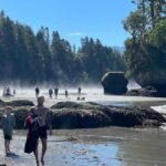 Olympic National Park Tour with Ferry Ride - Coastal and Wilderness Highlights