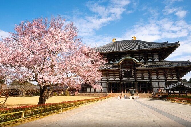 One Day Customized Self-Guided Tour in Nara - A Deep Dive into the Itinerary