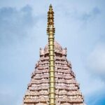 One-Day Great Living Chola Temples Tour | Private Car Package - Analyzing Value and Suitability