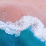 One-Day Komodo Tour By Speedboat - Details of the Itinerary