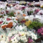 One Day Mountain and Flower Tour in Kunming - Dounan International Flower Market