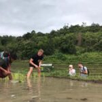 One Day Non Tourist Trek - An In-Depth Look at the Experience