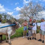 One day Sigiriya Sunrise, Dambulla, & Village Tour - Climbing Sigiriya Rock Fortress: A Journey Through Time