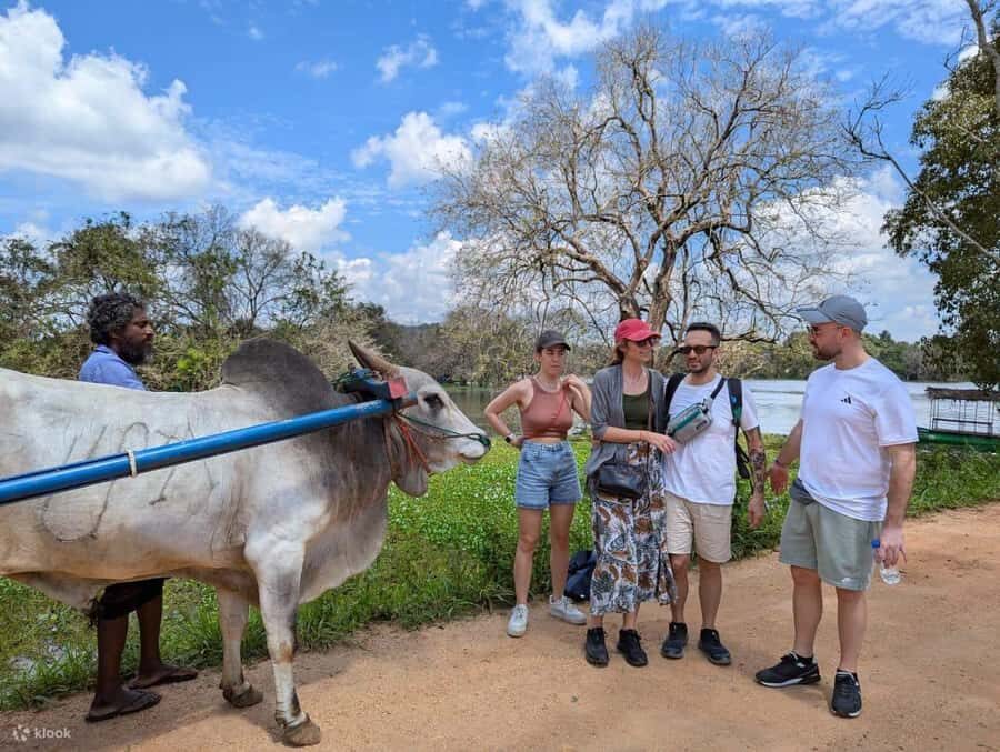 One day Sigiriya Sunrise, Dambulla, & Village Tour - Climbing Sigiriya Rock Fortress: A Journey Through Time