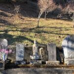 One Day Tour of Tokyo's Plentiful Nature in Hinohara Village - A Detailed Look at the Tour Experience