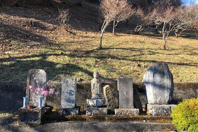 One Day Tour of Tokyo's Plentiful Nature in Hinohara Village - A Detailed Look at the Tour Experience