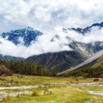 One Day Tour to Bipenggou - Final Thoughts: Is It Worth It?