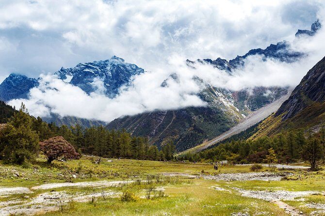 One Day Tour to Bipenggou - Final Thoughts: Is It Worth It?