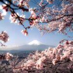 One day tour to Mount Fuji's popular attractions - FAQ