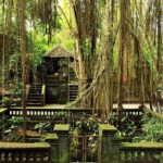 One Day Tour Ubud With Private Guide - Practical Details and What You Should Know
