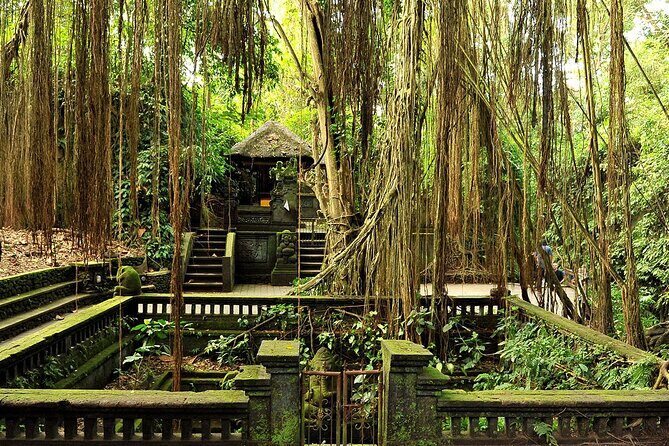 One Day Tour Ubud With Private Guide - Practical Details and What You Should Know