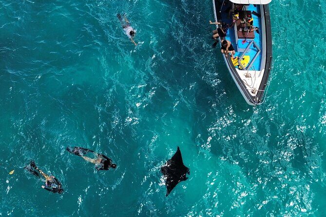 One Day Trip Nusa Penida Island and Snorkeling - Who Is This Tour Best For?