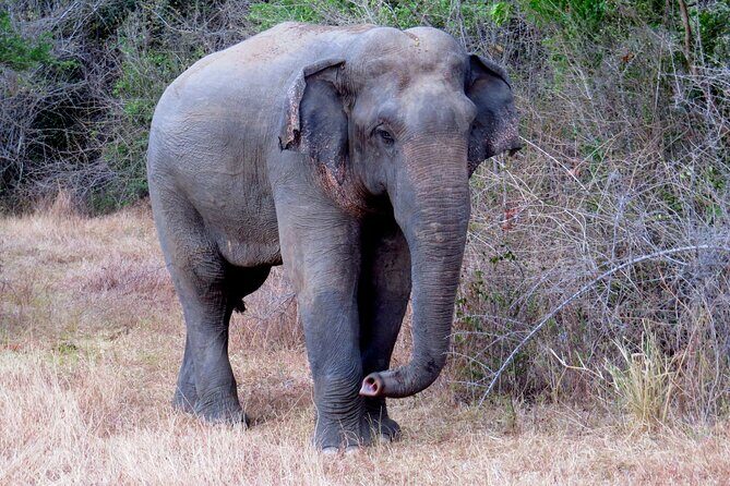 One Night Camping at Wasgamuwa National Park - The Sum Up