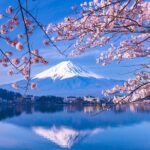 One Way Bus from Kawaguchiko to Tokyo - The Itinerary in Detail