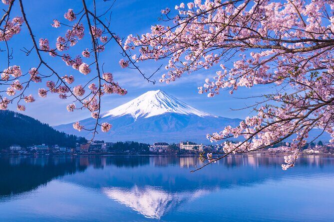 One Way Bus from Kawaguchiko to Tokyo - The Itinerary in Detail