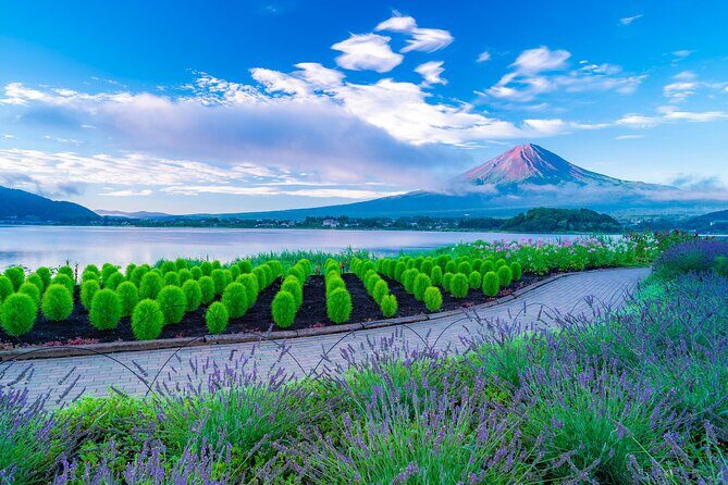 One Way Bus from Matsumoto to Kawaguchiko or Tokyo - What’s Included and What’s Not