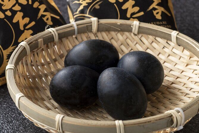 One Way Bus Transfer from Kawaguchiko to Hakone Area - Analyzing the Value