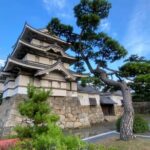 One Way Transfer between Kansai International Airport and Osaka - Pricing and Value