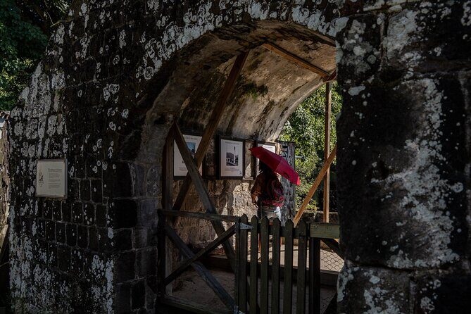 Open Air St. Kitts Tour with Island Vibes - Authentic Experiences & Traveler Insights